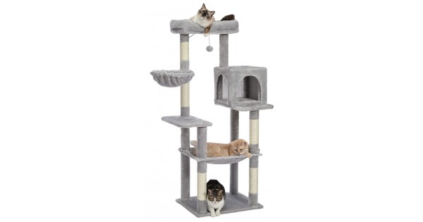 Gray Cat Climber with Hammock