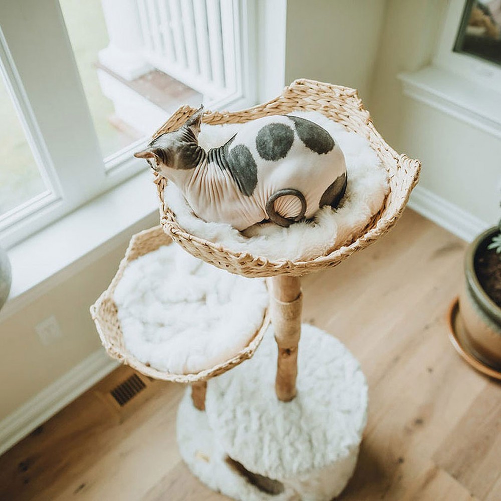 Wooden Cat Tree for Big Cats with Rattan Baskets