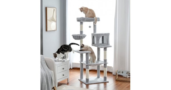 Gray Cat Climber with Hammock