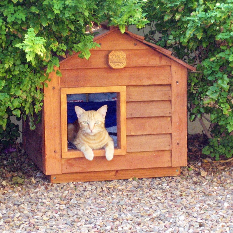 Cozy Cat Furniture Photo Gallery: Meet some of our happy customers!