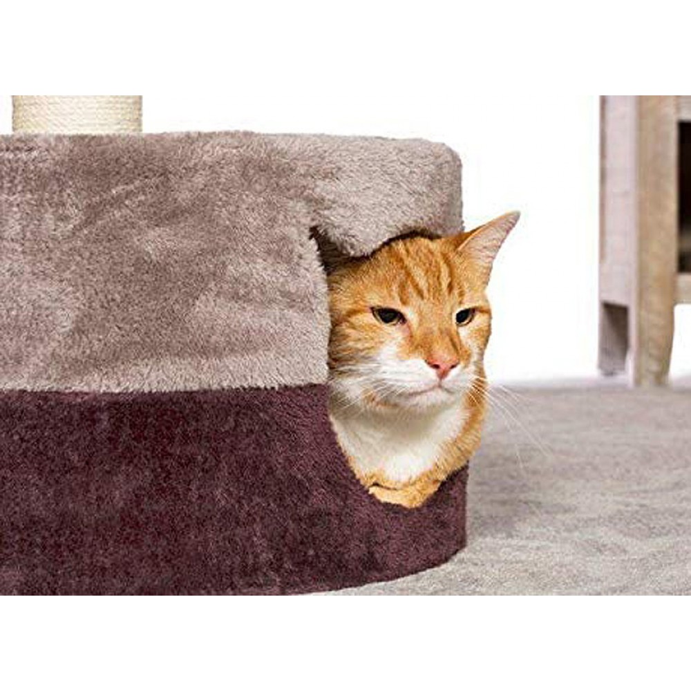 Kitty Condo Furniture with Bolstered Bed